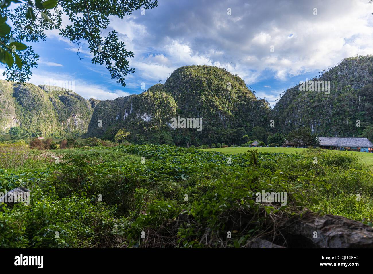 Cuba nature landscape hi-res stock photography and images - Alamy