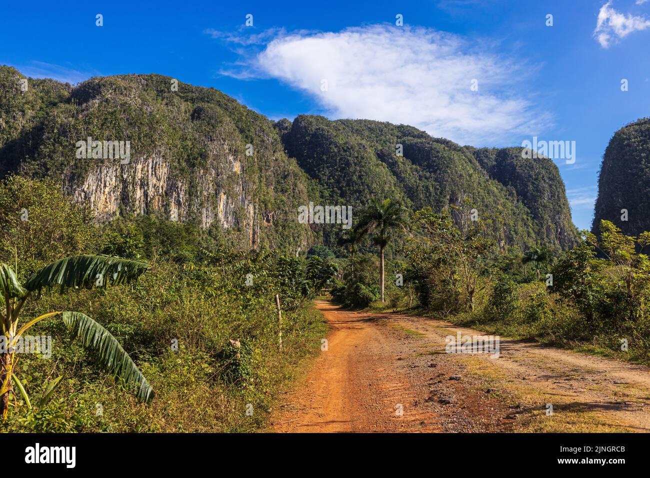 Cuba nature landscape hi-res stock photography and images - Alamy