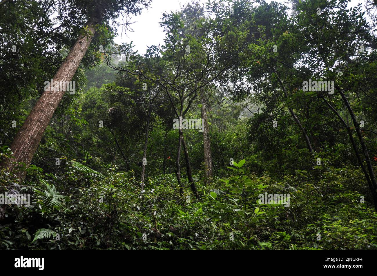 Emei lake hi-res stock photography and images - Alamy