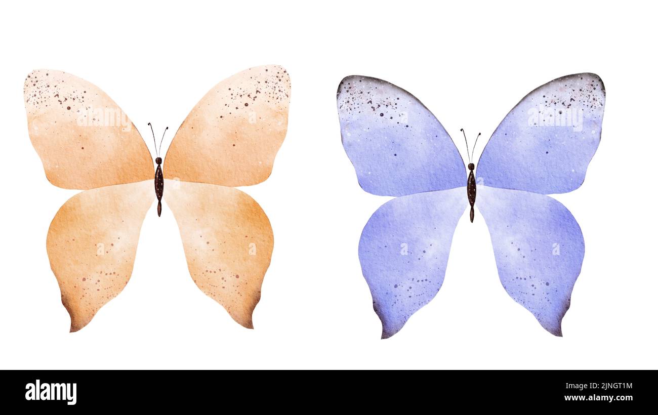 Hand sketch of colored butterfly. Watercolor hand painted collection ...