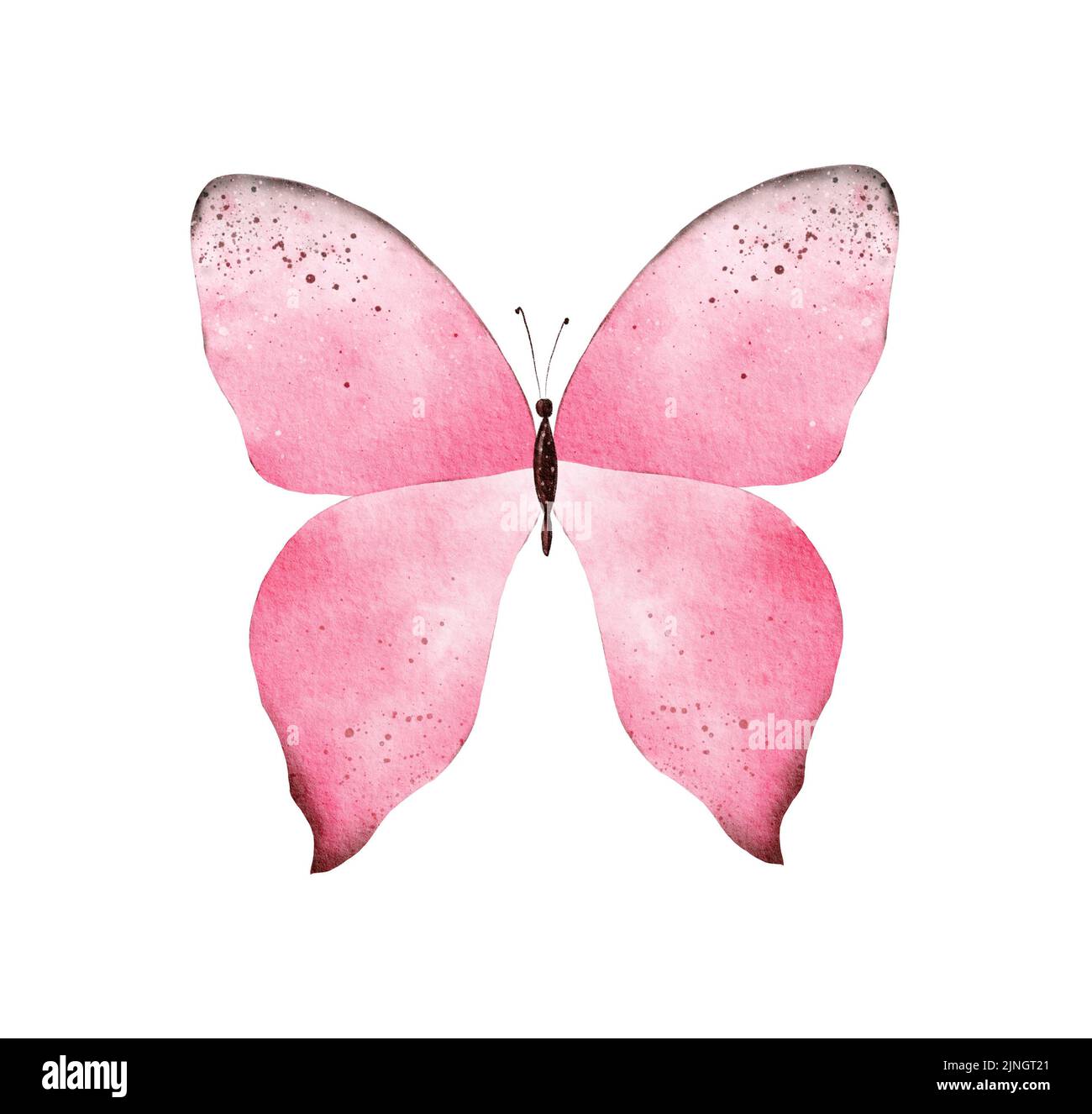 Light Pink Butterfly Clipart