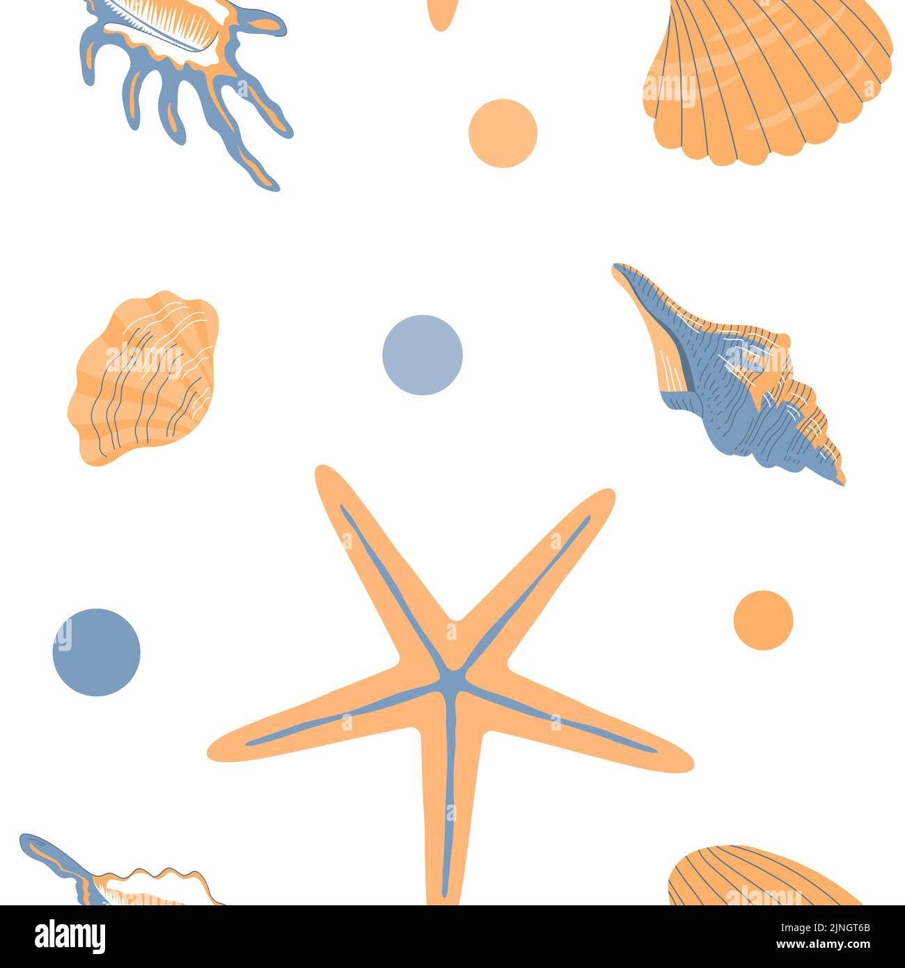 Seashells pattern set. Snail sea shell, starfish. Marine underwater ...