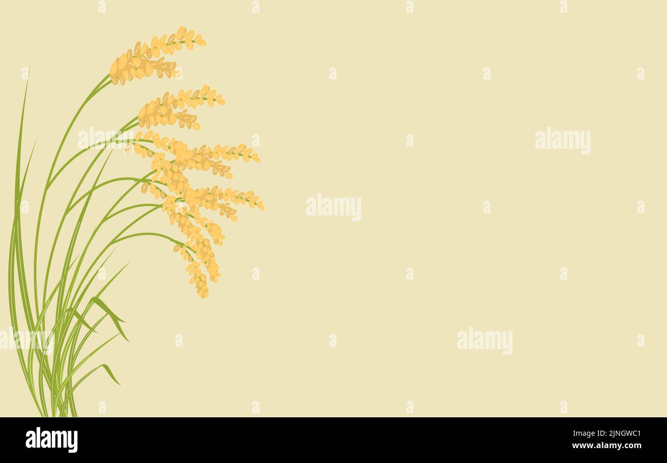 Illustration of rice ears hanging fruit, image of autumn harvest Stock ...