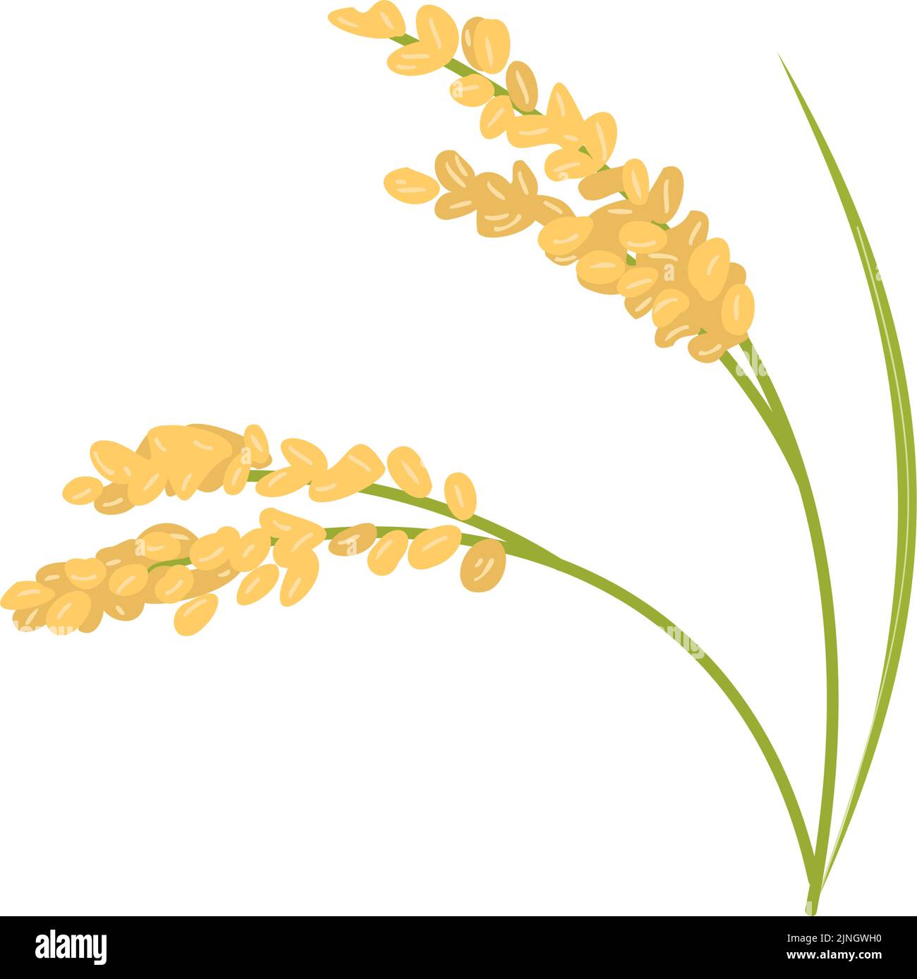 Illustration of grown rice, autumn harvest Stock Vector Image & Art - Alamy