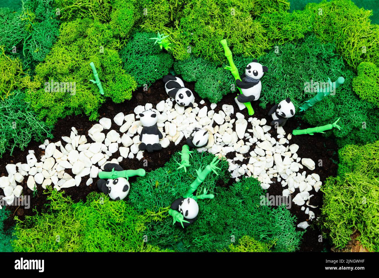 Funny homemade plasticine pandas in a stylized jungle, top view ...