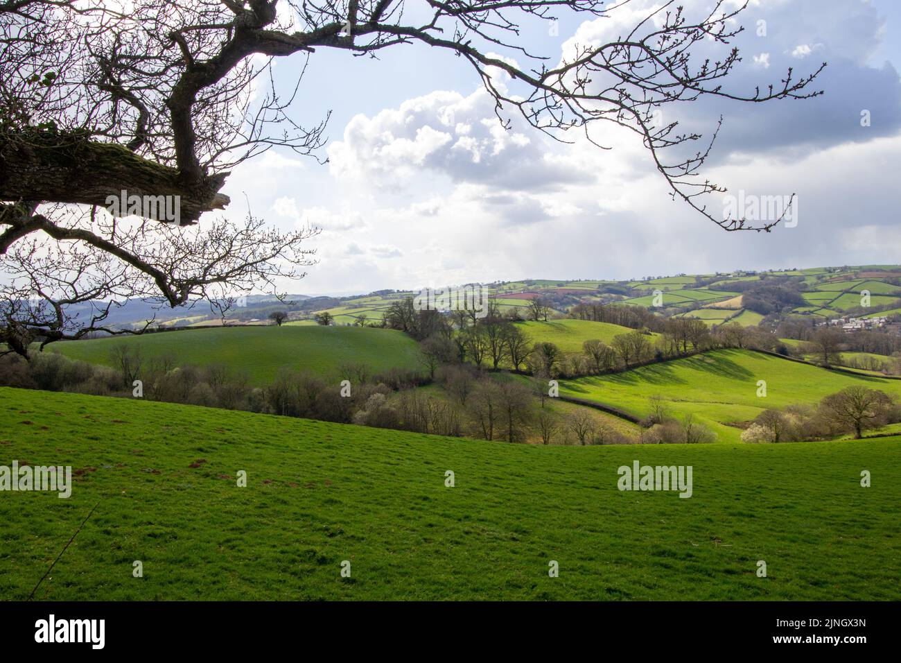 Typical countryside of Devon with green fields, gentle hills with ...