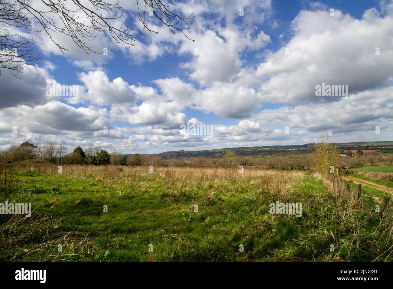 Typical countryside of Devon with green fields, gentle hills with ...