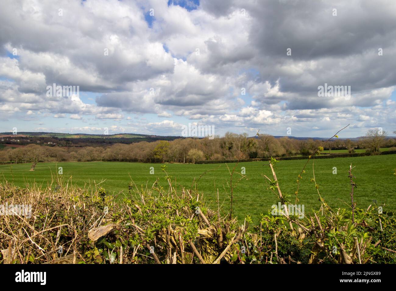 Typical countryside of Devon with green fields, gentle hills with ...