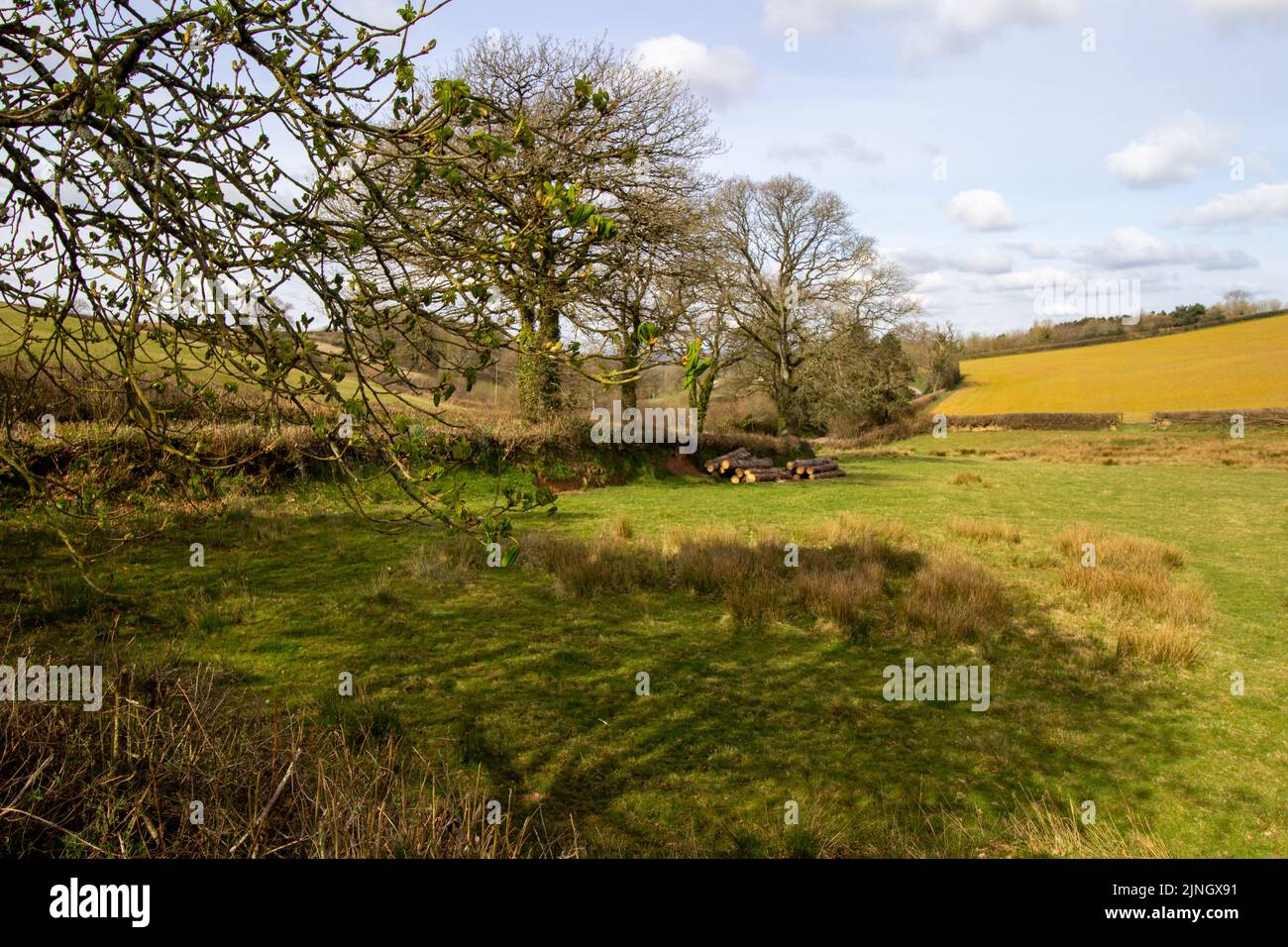 Typical countryside of Devon with green fields, gentle hills with ...