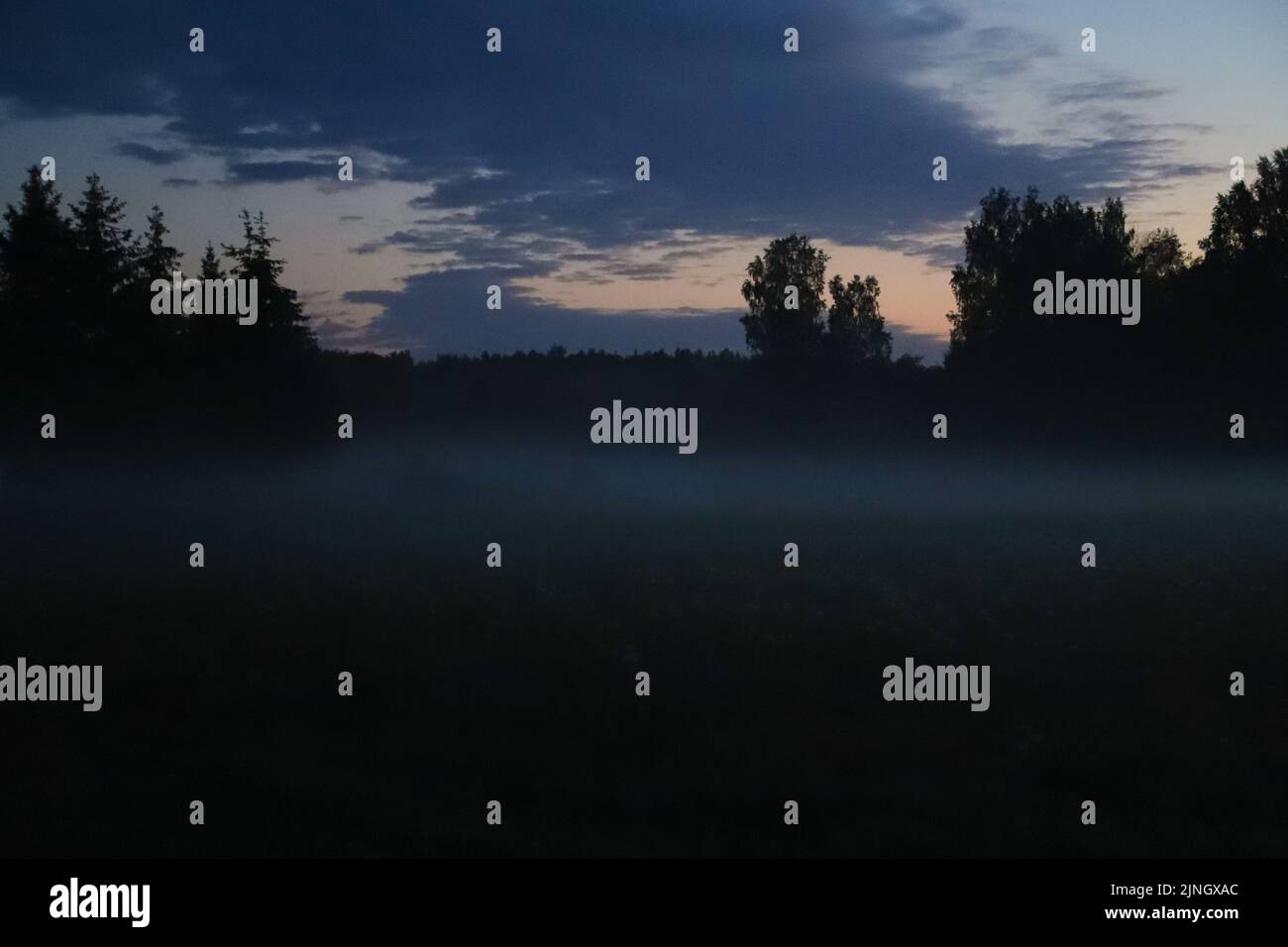 Night sky landscape with fog and forest in the background. Beautiful ...