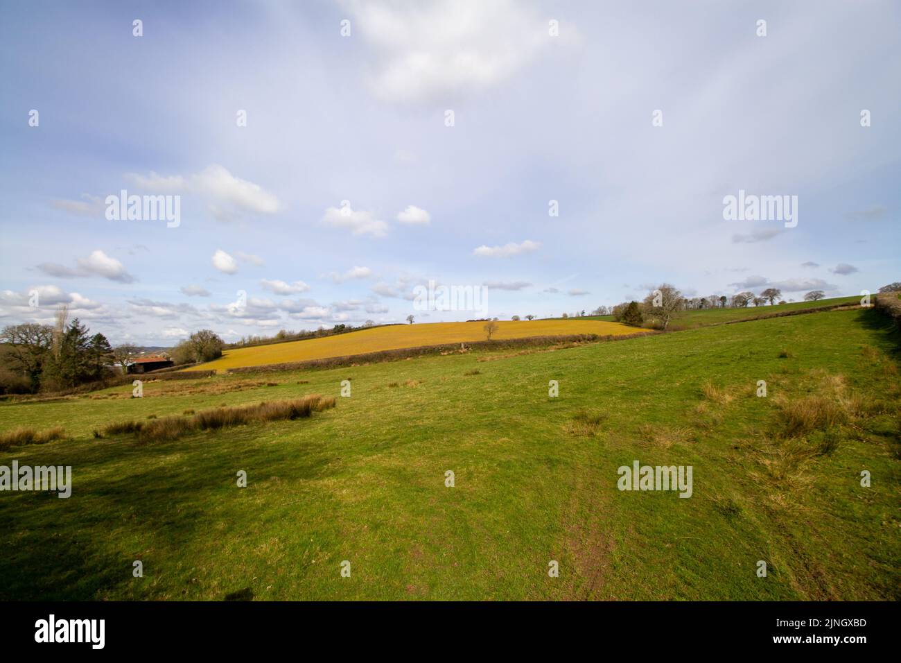 Typical countryside of Devon with green fields, gentle hills with ...