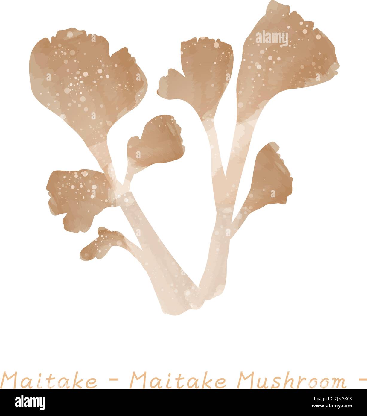 Fluffy mushrooms Stock Vector Images - Alamy