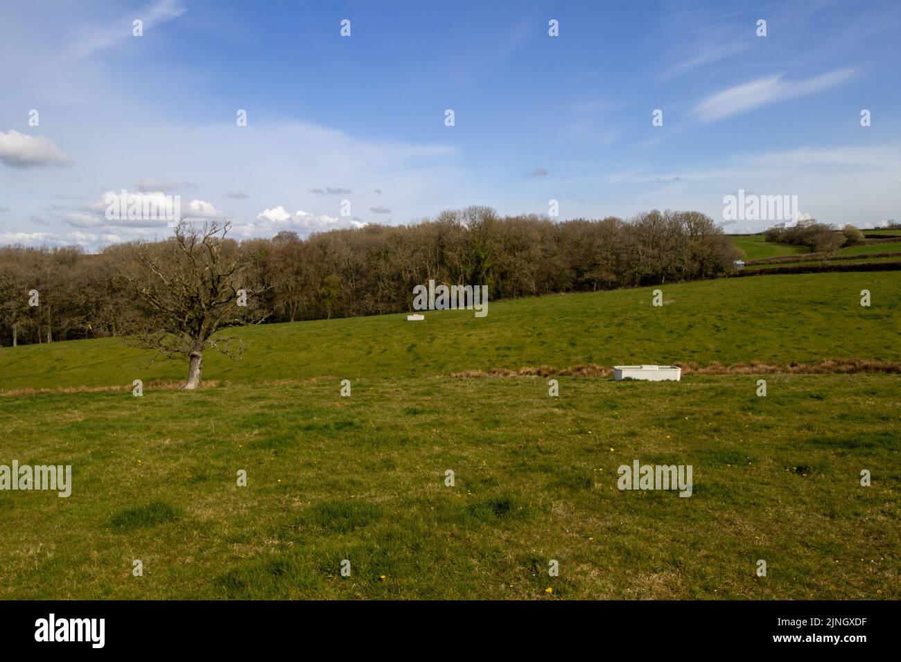 Typical countryside of Devon with green fields, gentle hills with ...