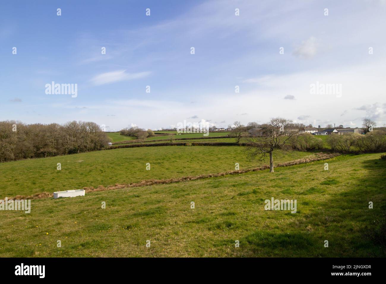 Typical countryside of Devon with green fields, gentle hills with ...