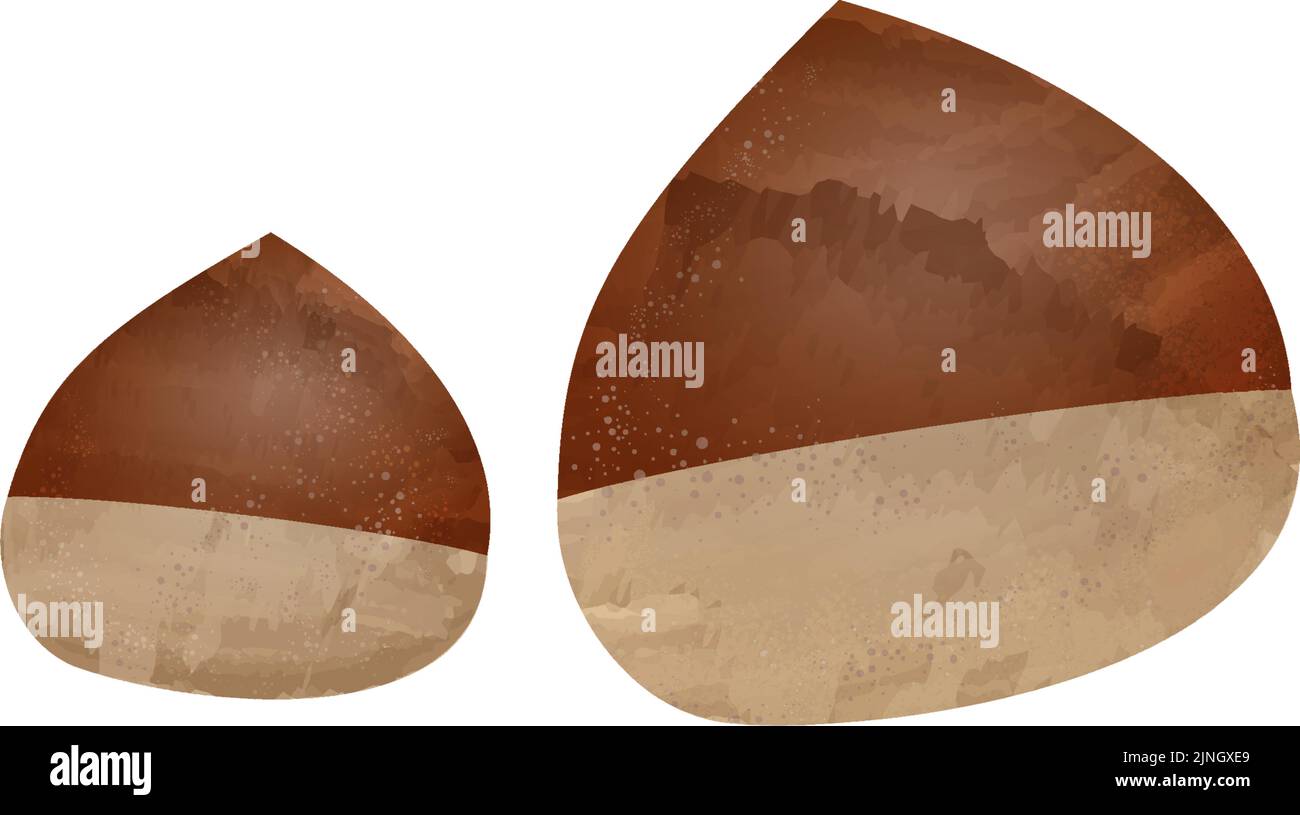 Illustration of ingredients, transparent watercolor style of sweet ...