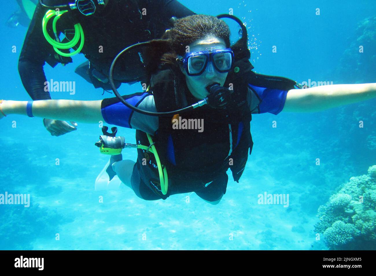 Reef Girls Background