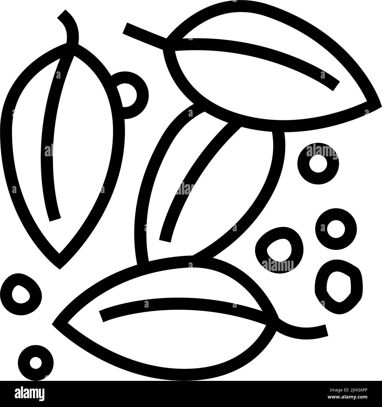 leaves of black pepper plant line icon vector illustration Stock Vector ...