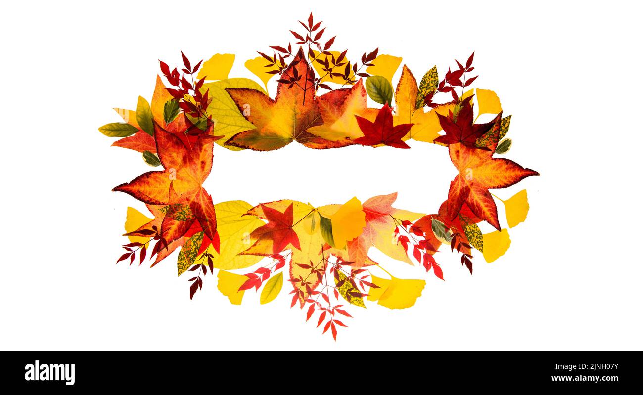 Autumn leaves background. Autumn fall frames borders. Fall leaf banner ...