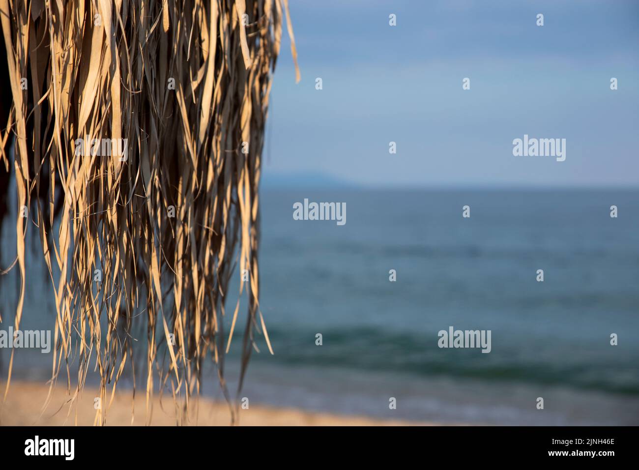 Umbrella made from palm tree leaves at the beach. Tropical style Stock ...