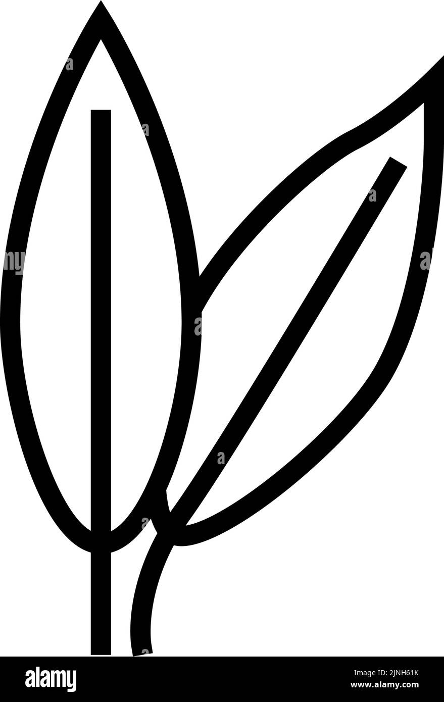 cherry leaf line icon vector illustration Stock Vector Image & Art - Alamy