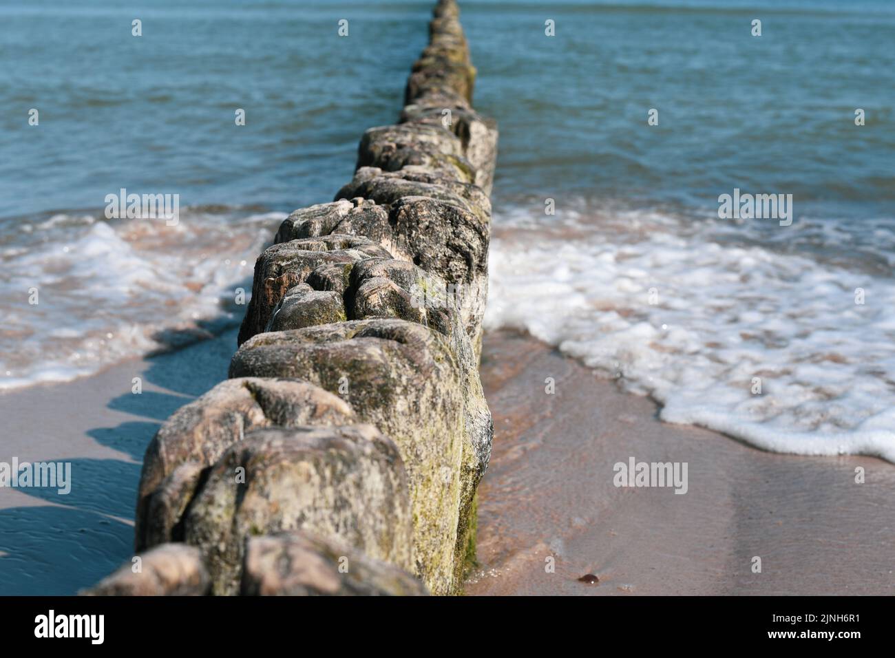 A wooden groyne at the beach Stock Photo - Alamy