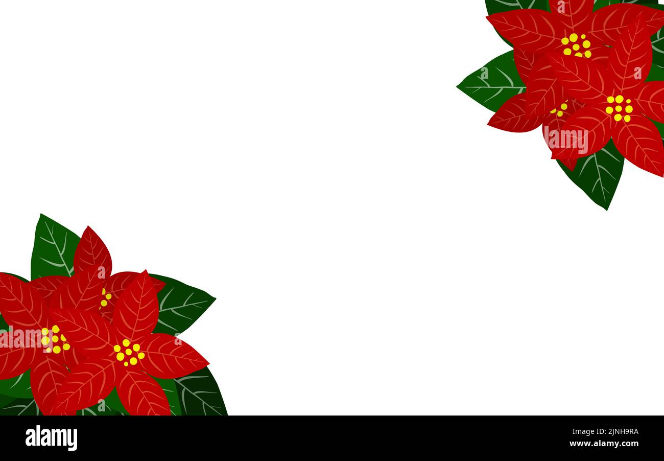 Red poinsettia plants in Stock Vector Images - Alamy