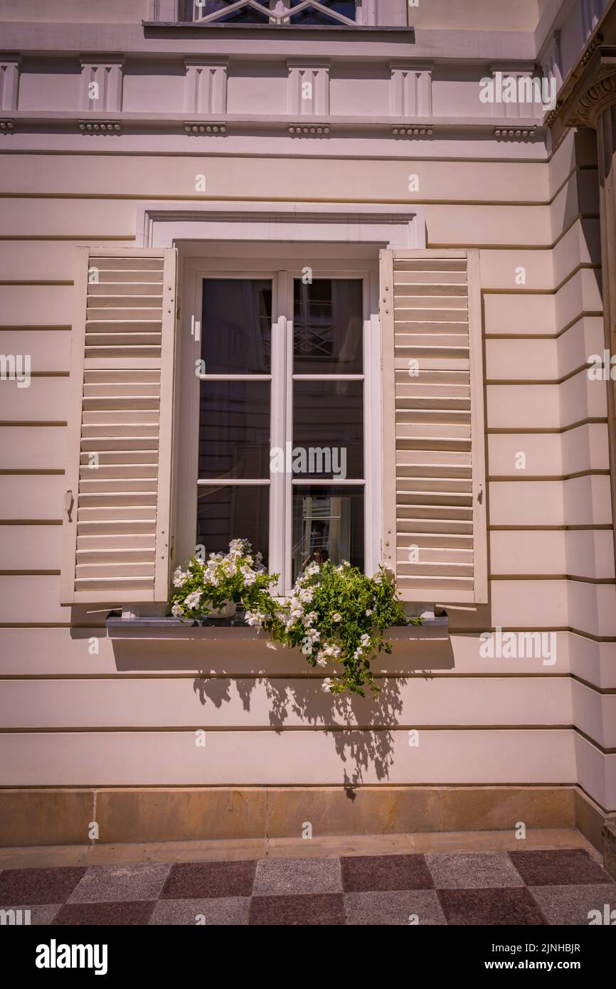 Park w Natolinie, Natolin Stock Photo - Alamy