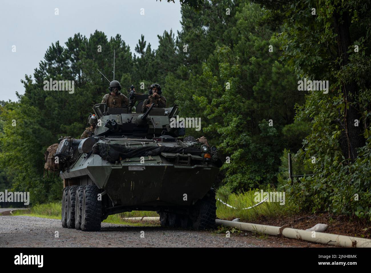 U.S. Marines with 2d Light Armored Reconnaissance Battalion (LAR), 2d ...