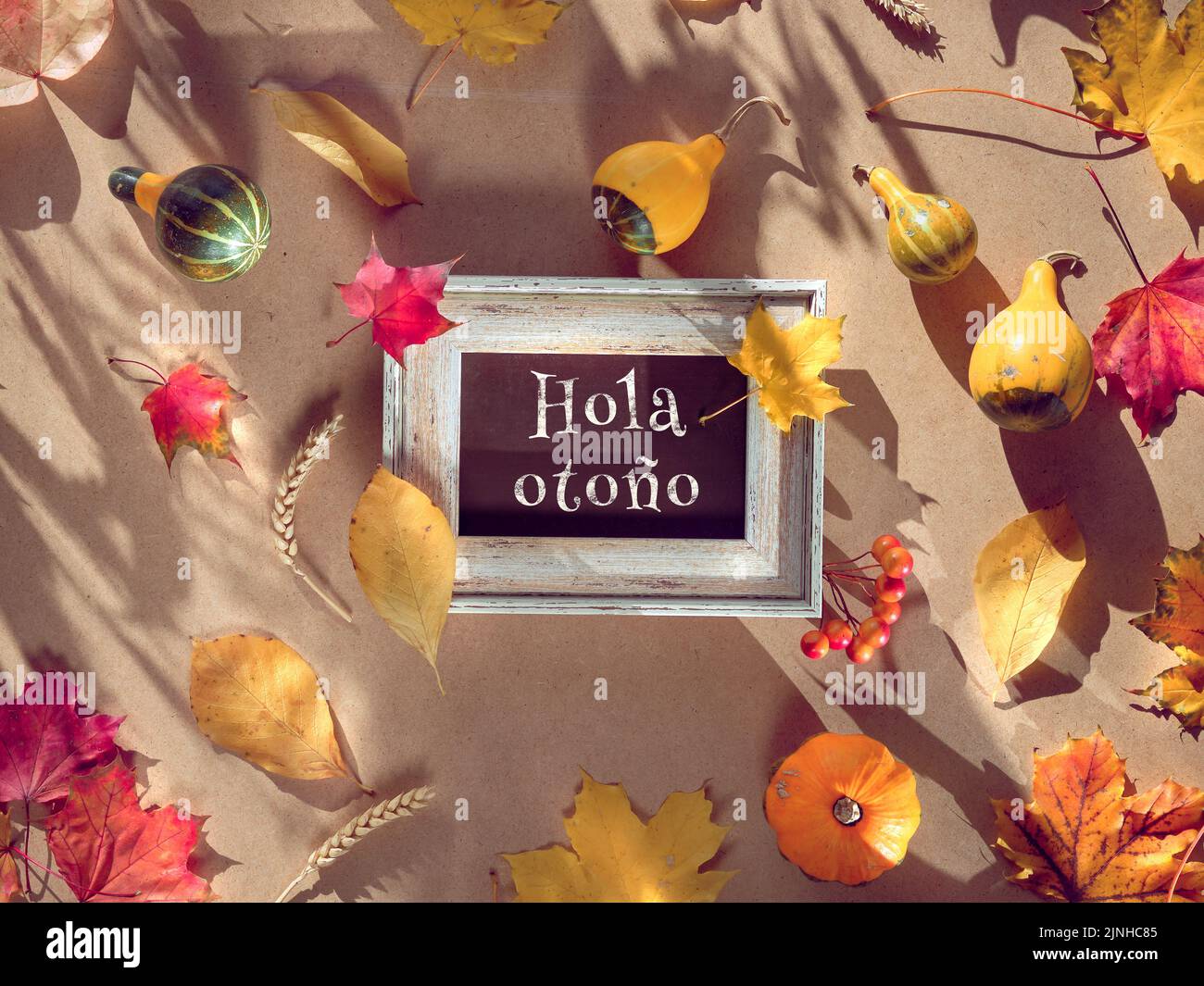 Autumn frame, caption greeting text Hola otono means Hello Autumn in ...