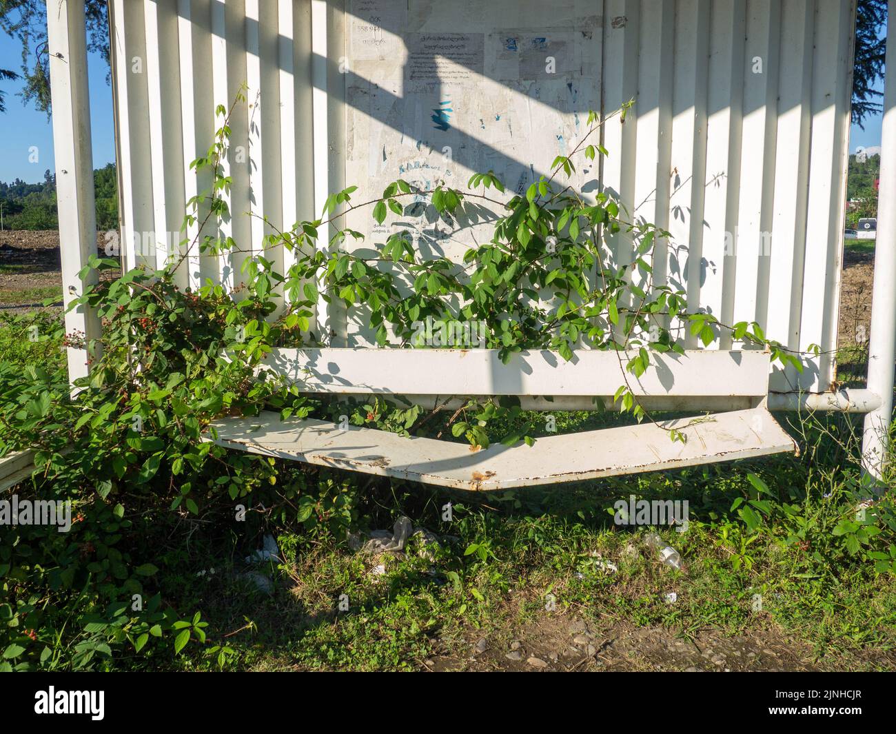 Broken bench at the old bus stop. Abandoned. Stop overgrown with plants ...