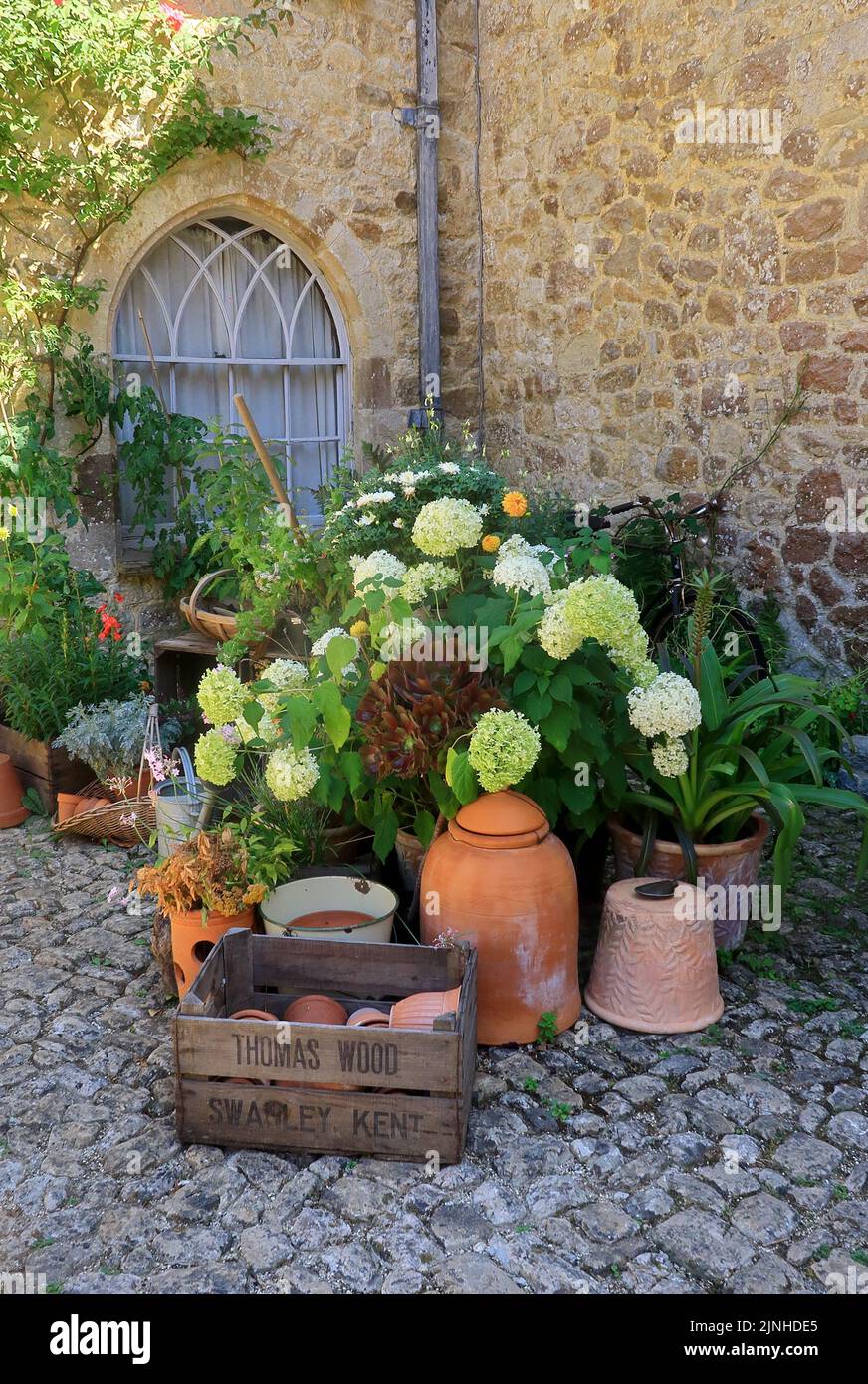 Pots and flowers, A still life scene Stock Photo - Alamy