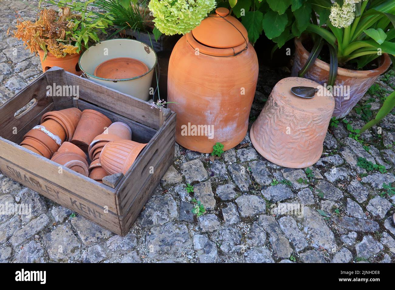 A wooden crate filled with flwer pots on a stone surface Stock Photo ...