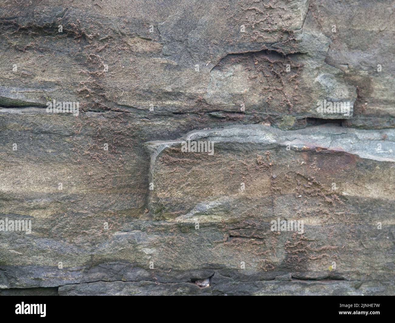 The structure of the old stone masonry. Gray wall. Old cement joints ...