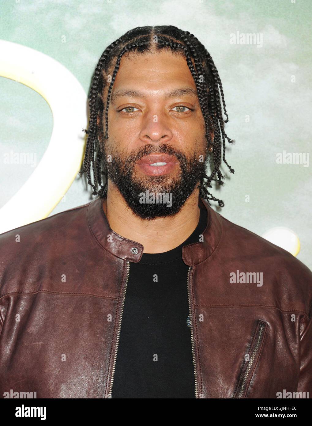 LOS ANGELES, CA - AUGUST 10: Deray Davis attends the World Premiere of ...
