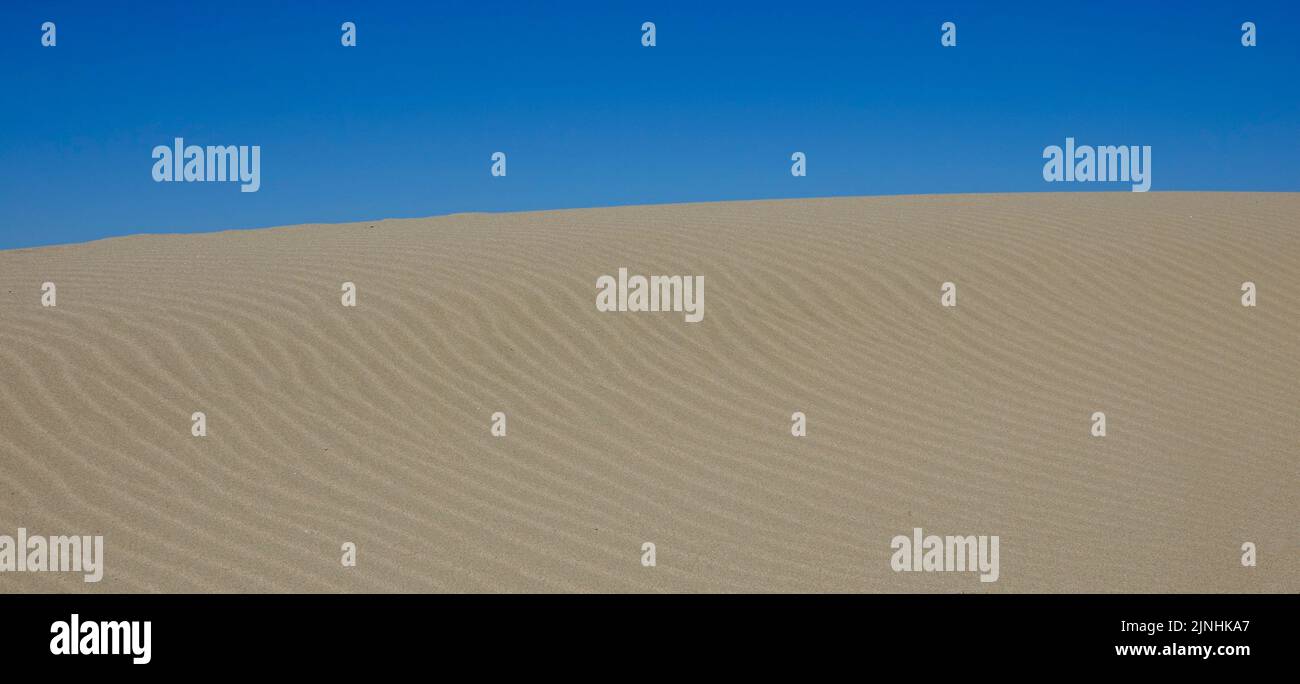 ripples across the sand dune in bright sun Stock Photo - Alamy