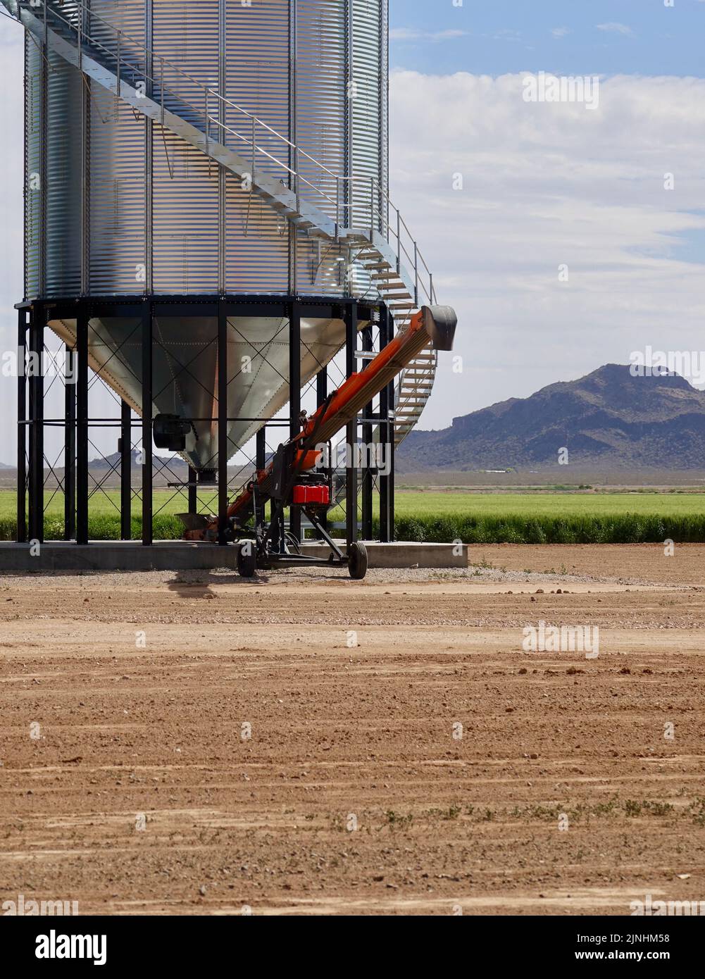 large shiny grain silo in a wheat field Stock Photo - Alamy