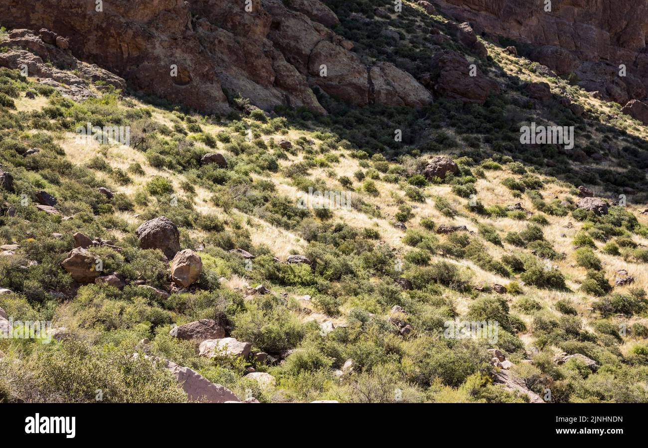 Looking down a hillside below rocky cliffs in Siphon Draw, Lost ...