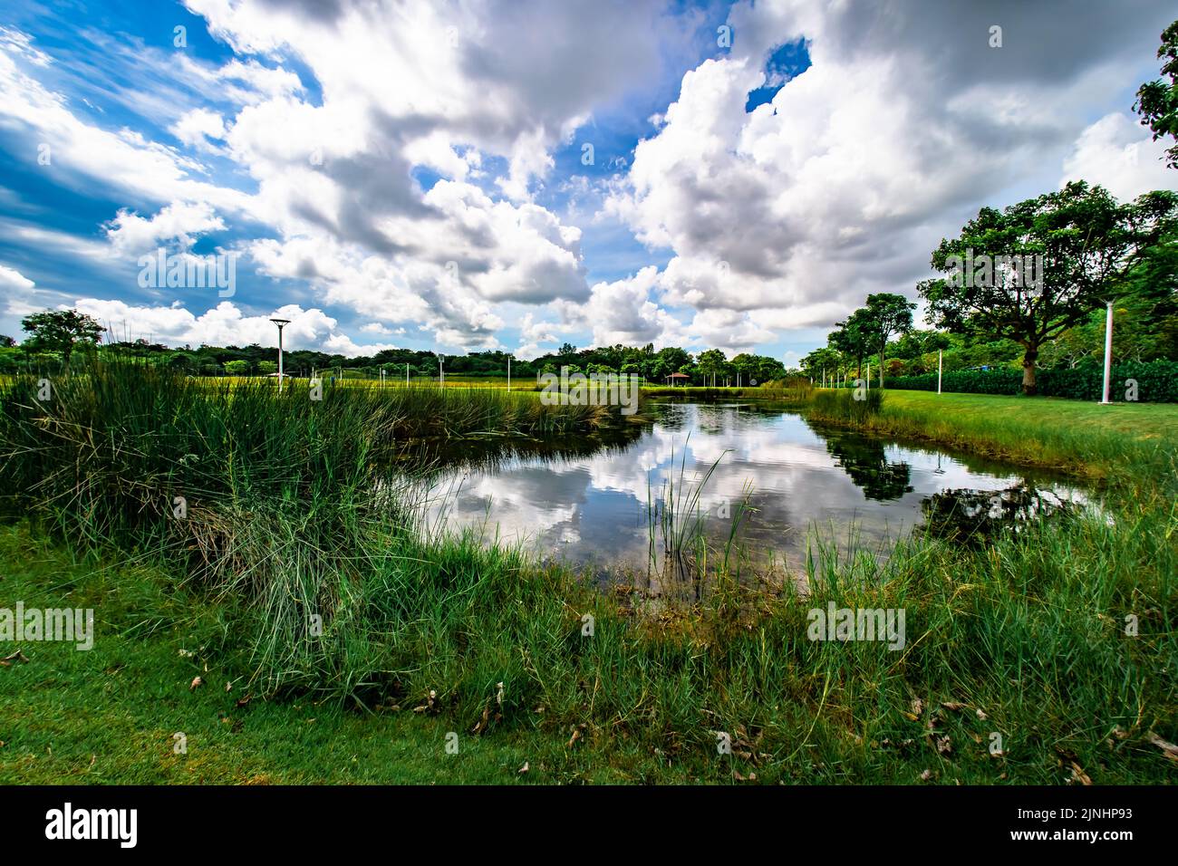 Lorong Halus Bridge, Lorong Halus Wetland Centre, Punggol Promenade ...