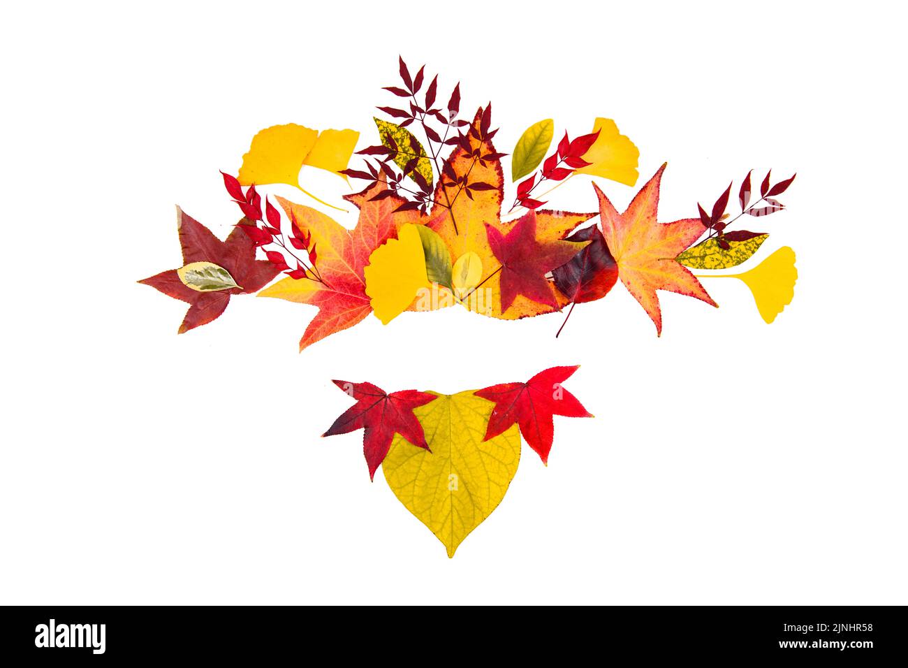 Autumn frame for design banners, leaflets, posters with space for text ...