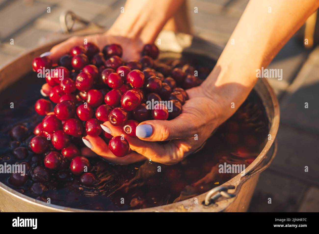 Close-up portrait of woman's hands washing cherries in big bowl ...