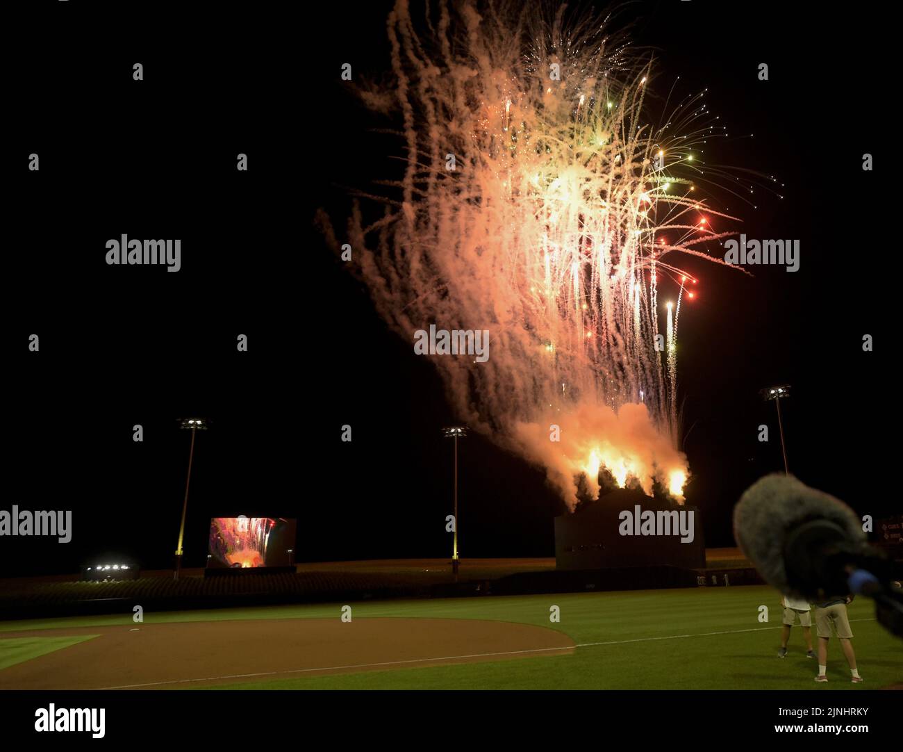 2 4 cubs hi-res stock photography and images - Alamy