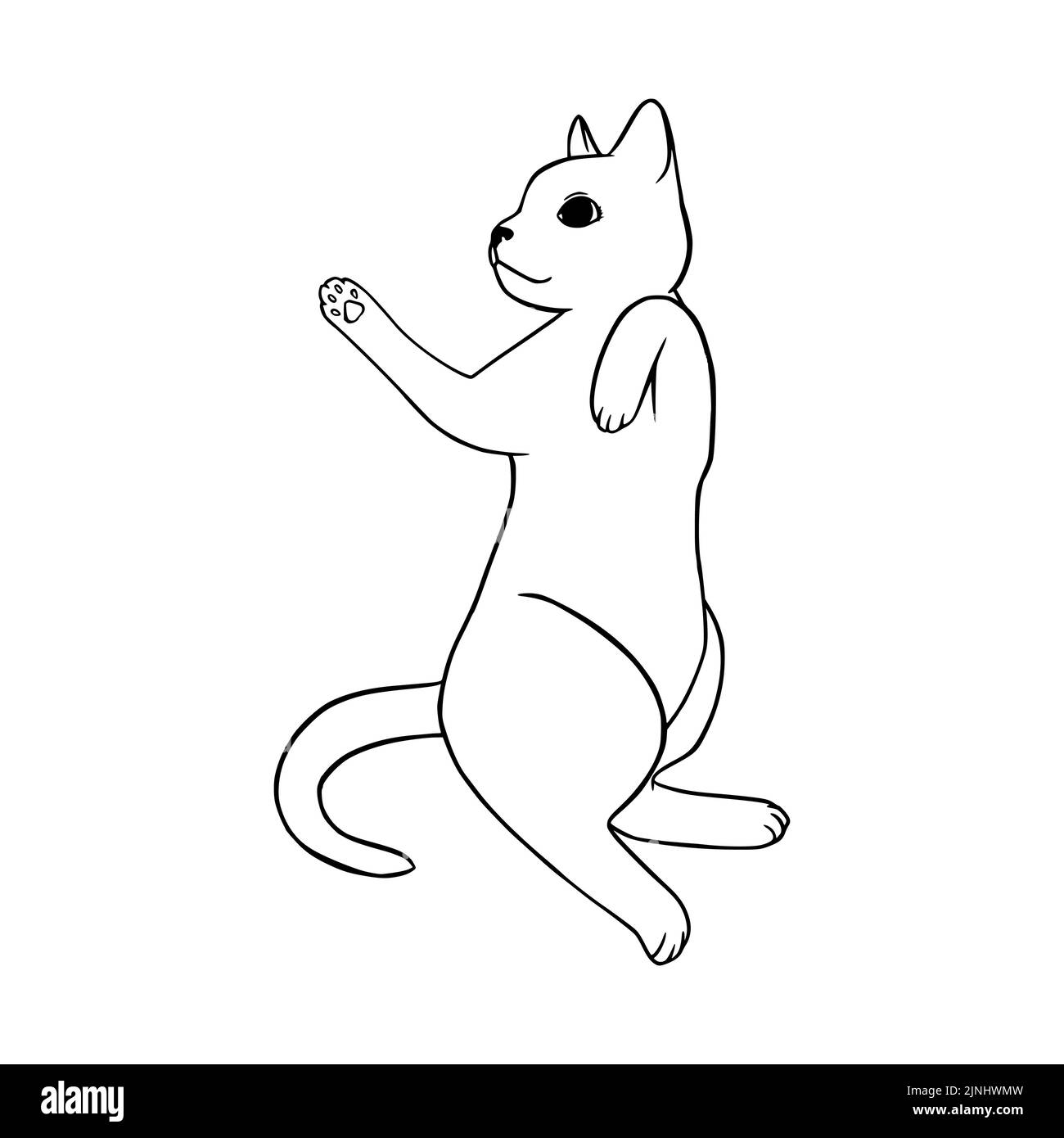 Cat Standing Up Drawing