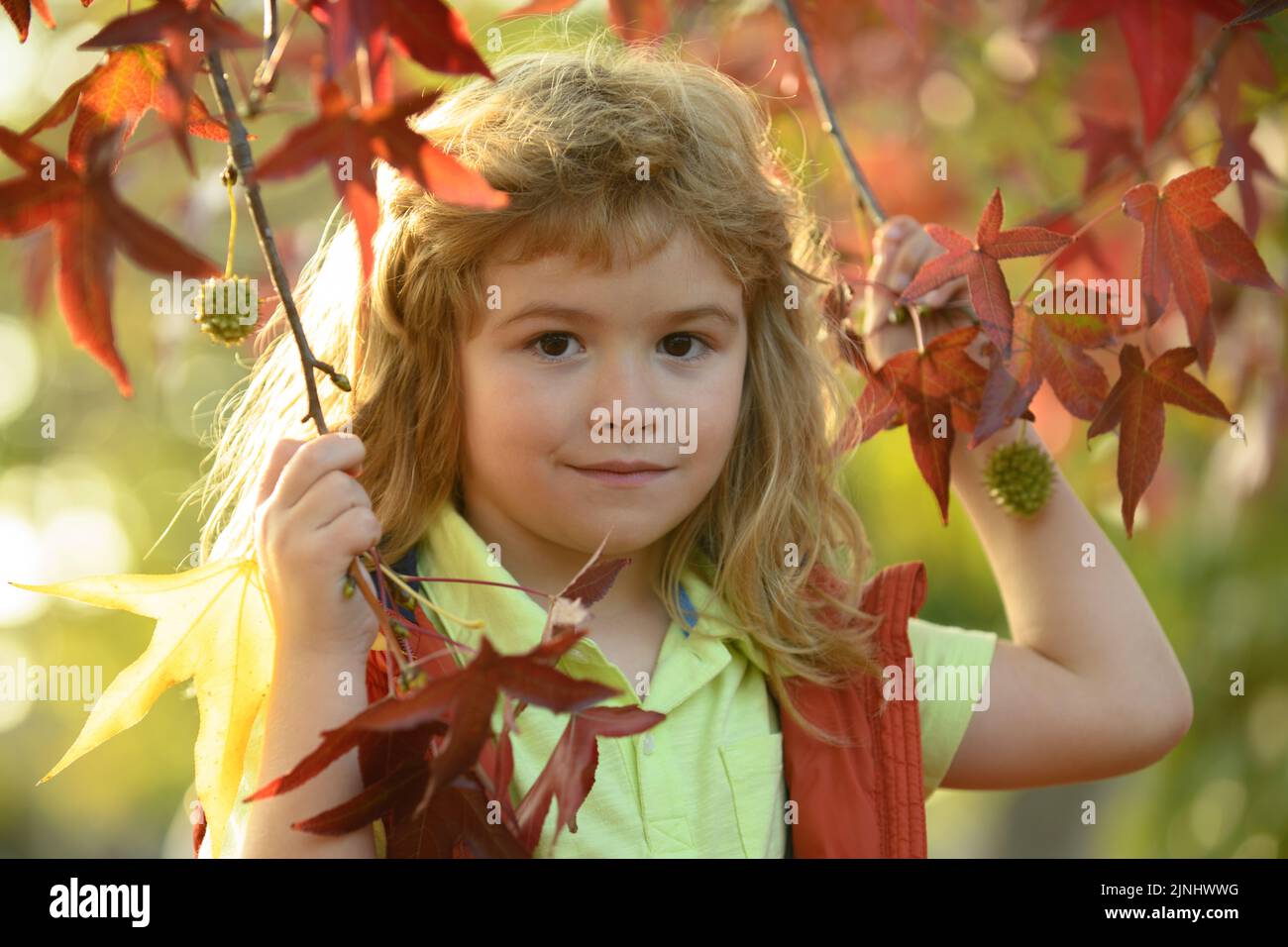 Kids play in autumn park. Children portrait with yellow leaves. Child ...