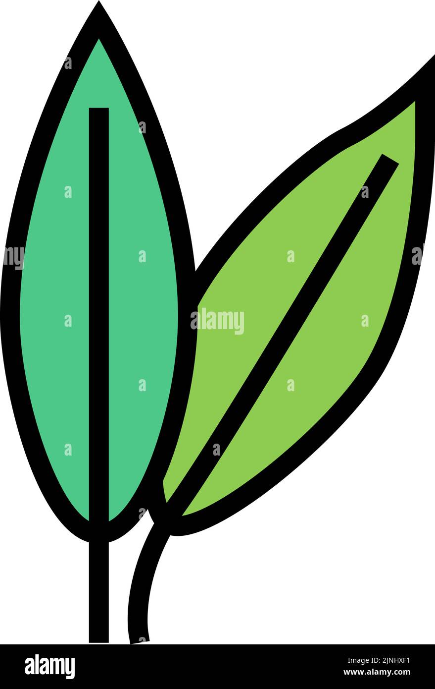 cherry leaf color icon vector illustration Stock Vector Image & Art - Alamy