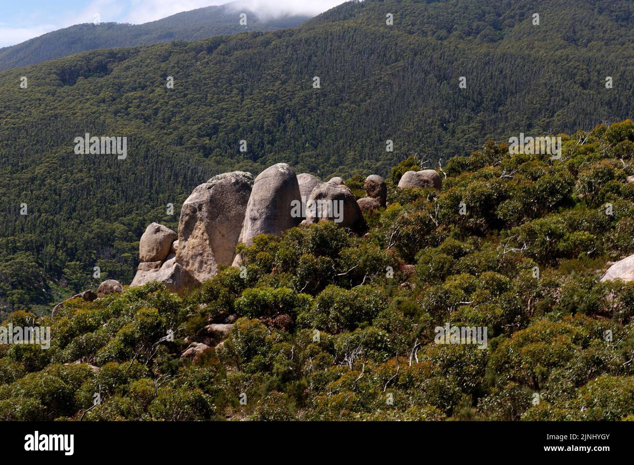 Mount Oberon is 558 metres high, at the Southern tip of Wilsons Promontory National Park, behind ...