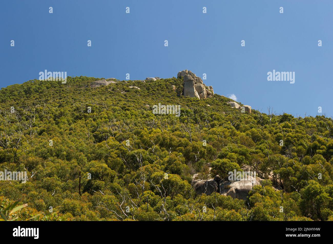Mount Oberon is 558 metres high, at the Southern tip of Wilsons ...