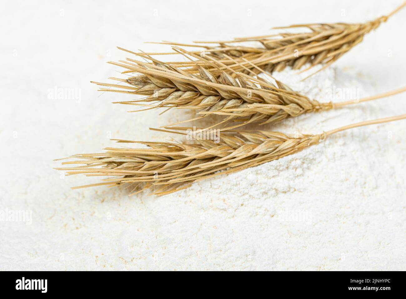 Close-up of a heap of flour and ears of wheat after sifting. Concept ...
