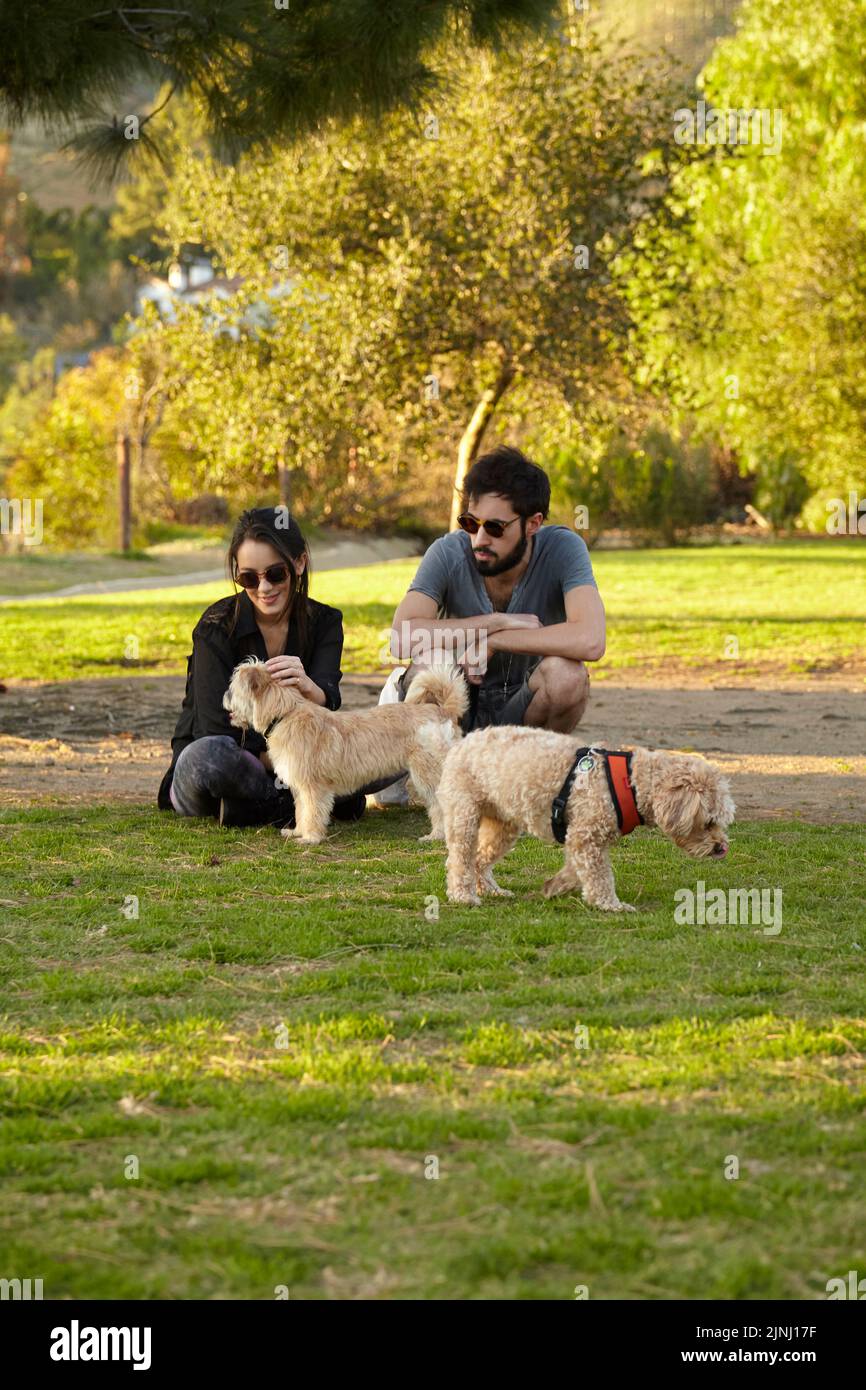 people at park with dogs Stock Photo - Alamy