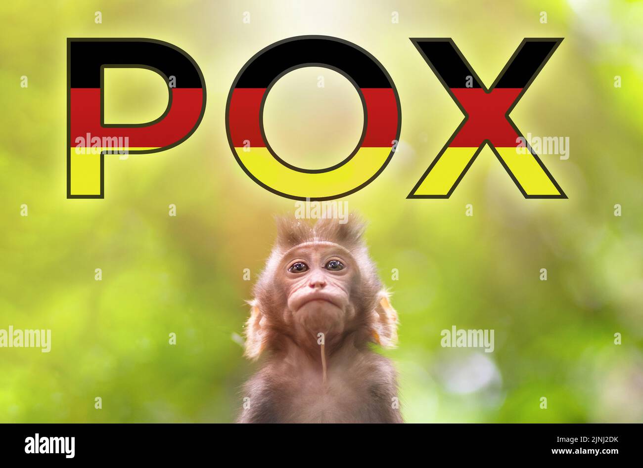 A new outbreak of viral infection at Germany, monkey pox. Small monkey ...