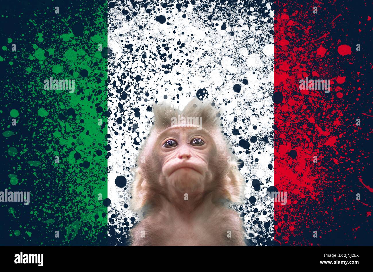 A new outbreak of viral infection at Italia, monkey pox. Small monkey ...